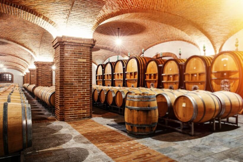 Verona: private tour of Soave and Amarone - Practical Tips for Travelers