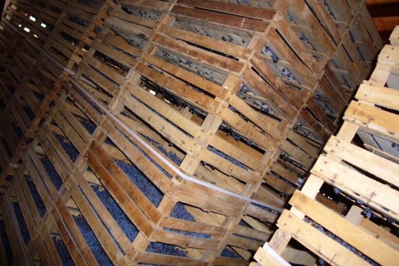 Verona: private tour of Soave and Amarone - Summary