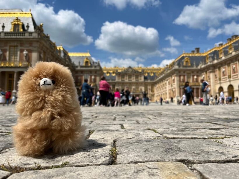 Versailles Half-day Private Tour by Luxury Car - Key Points