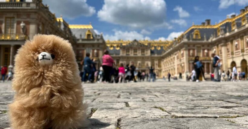 Versailles Half-day Private Tour by Luxury Car - Who Should Book This Tour?