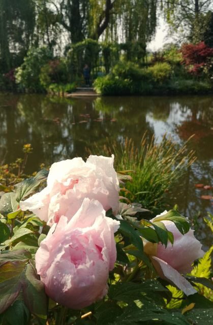 Versailles Palace and Giverny Private guided tour from Paris - A Deep Dive into the Experience