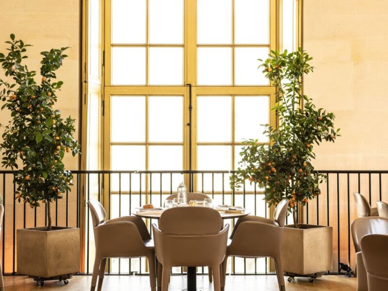 Versailles: Skip-the-Line Entrance and Tea Time at Ore - The Skip-the-Line Palace Entrance