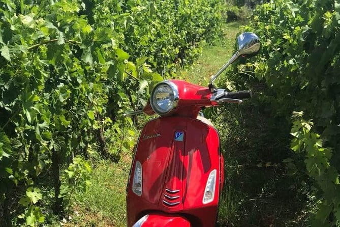 Vespa Motorcycle rental in Florence - FAQs About the Vespa Rental in Florence