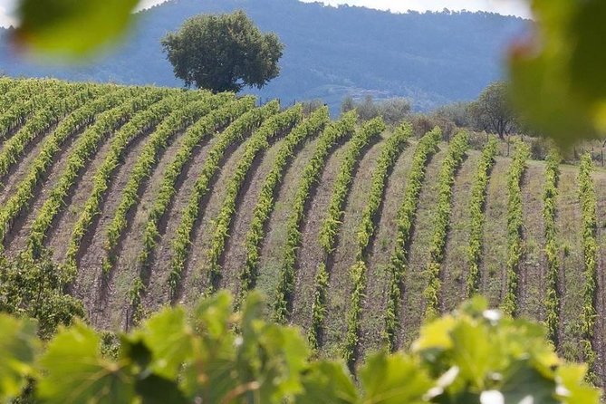 Vespa Tour in Chianti Small Group From Florence - Getting to the Tour