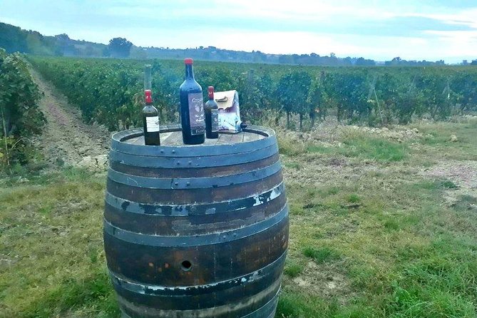 Vespa Tour With Lunch&Chianti Winery From Siena - Passing by Monteriggioni and Ancient Villages