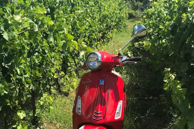 Vespa Tour With Lunch&Chianti Winery From Siena - Requirements and Recommendations