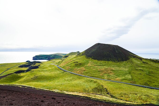 Vestmannaeyjar private day tour - Who Should Consider This Tour?