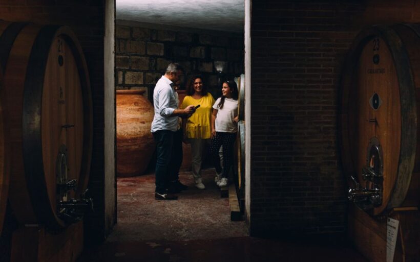 Vesuvio National Park: Wine Tasting & Tour with Light Lunch - FAQ