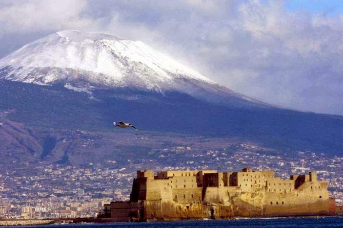 Vesuvio Private Tour - Who Should Consider This Tour?