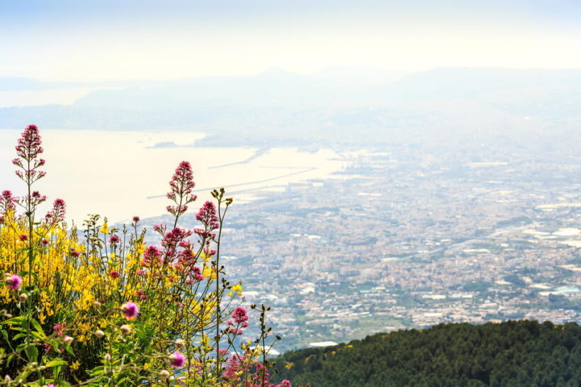 Vesuvio Skip The Line Ticket With Digital Audioguide - Final Thoughts: Who Should Consider This Tour?