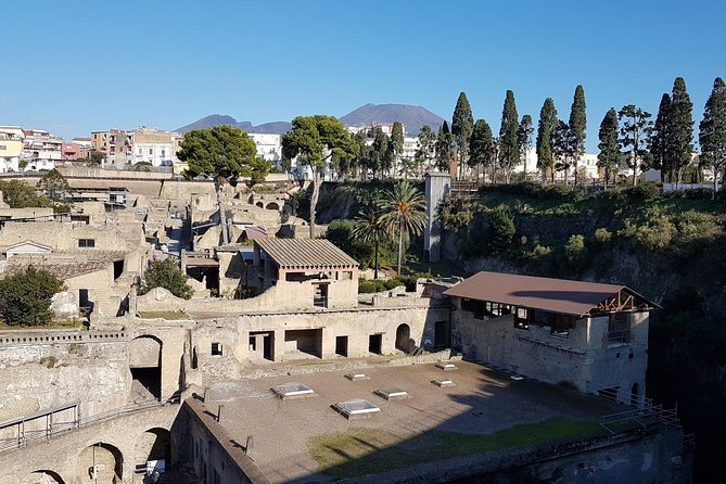 Vesuvius and Herculaneum Day Trip from Naples with skip the line - FAQ
