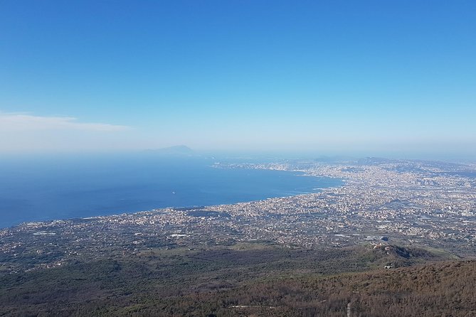 Vesuvius: Half Day Trip From Naples - What to Expect on Your Half-Day Trip