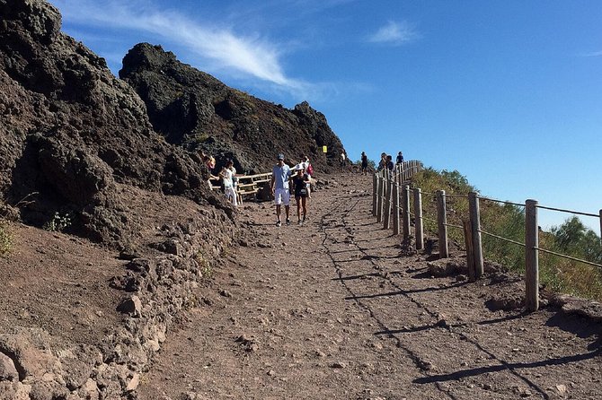 Vesuvius: Half Day Trip From Naples - Meeting Point Details and Transportation