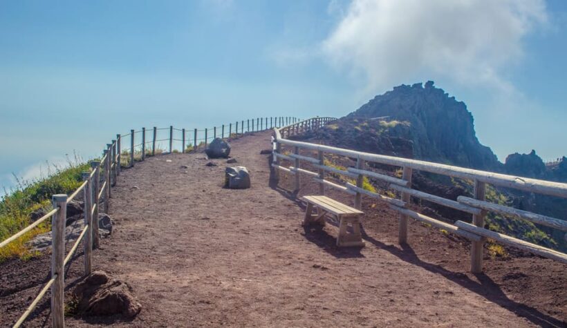 Vesuvius National Park Skip-The-Line Ticket and Audio Guide - Deep Dive into the Vesuvius Experience