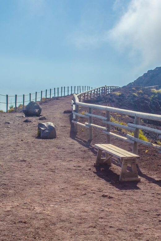 Vesuvius National Park Skip-The-Line Ticket and Audio Guide - Is This Tour Right for You?