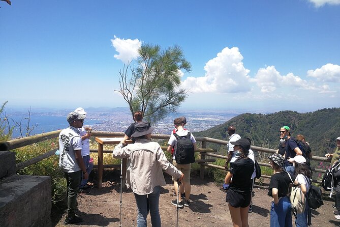 Vesuvius, Pompeii & Vesuvius Winery Shore Excursion - Pricing and Booking Details
