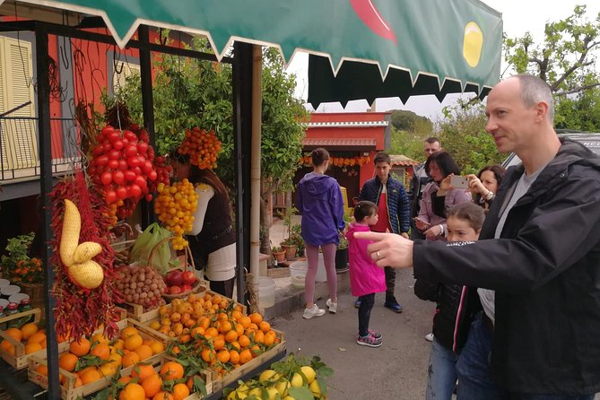 Vesuvius, Pompeii & Vesuvius Winery Shore Excursion - Traveler Reviews and Recommendations