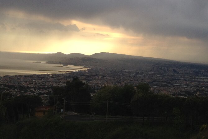 Vesuvius, V.I.P. the only Tour with Volcanological Guide - What Makes This Tour Special?