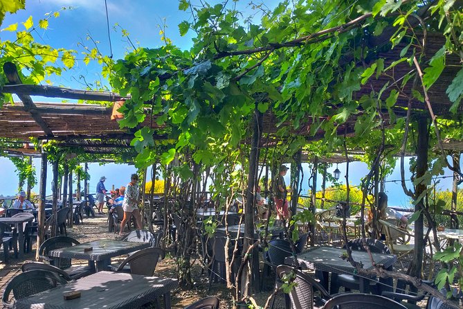 Vesuvius & Vineyard Select From Sorrento - Wine Tasting and Lunch at the Winery