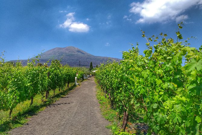 Vesuvius & Vineyard Select From Sorrento - Accessibility and Health Considerations