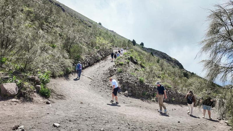 Vesuvius Volcano Experience: from Naples, Pompeii and Rome - FAQ