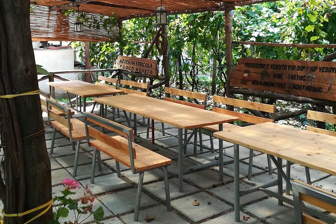 Vesuvius Wine Tasting With Company Tour - Exceptional Hospitality and Personalized Experiences