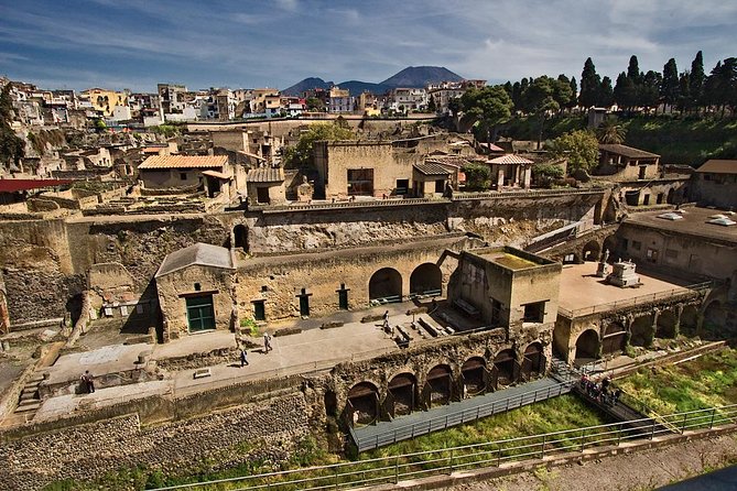 Vesuvius,Herculaneum,Pompeii from Naples or Sorrento - Practical Details and Value