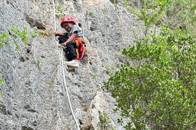 Via Ferrata and Abseiling at Tafelberg - Who Will Love This Tour?