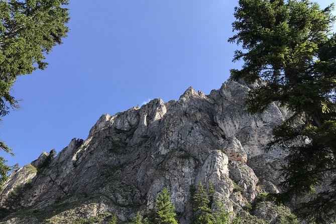 Via Ferrata Tour near Red Lake (Lacu Rosu) - Why This Tour Is a Great Choice