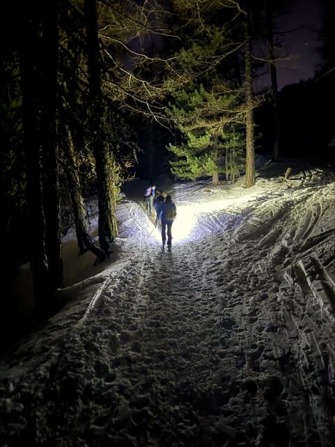 Vialattea: Night Snowshoeing under the Stars - An Authentic Night in the Mountains: What to Expect