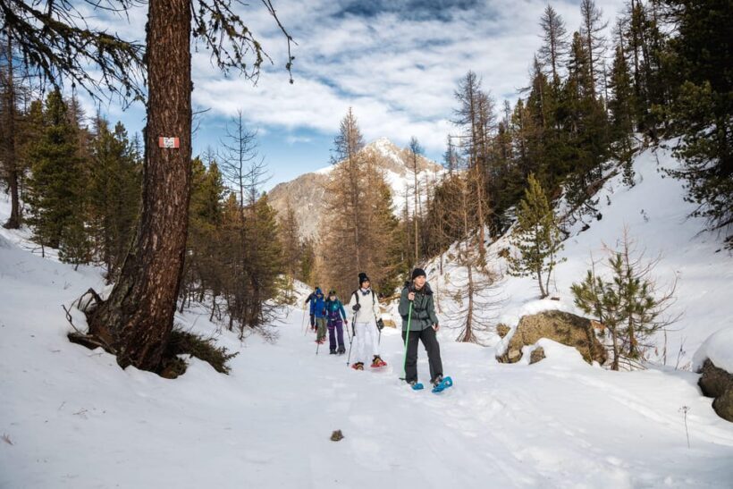 Vialattea: Snowshoeing in the Snowy Forest - Authentic Experiences and Traveler Feedback