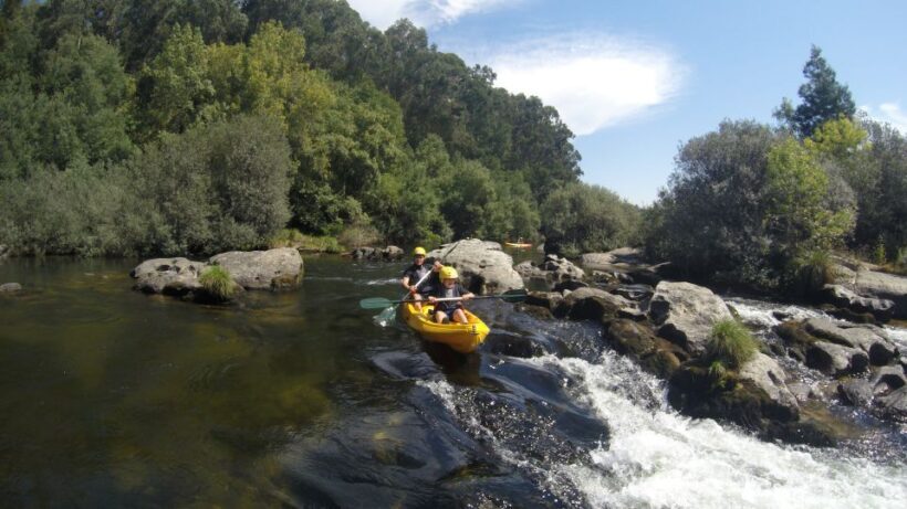 Viana do Castelo: Kayak Tour at Lima River - An In-Depth Look at the Kayak Tour Experience