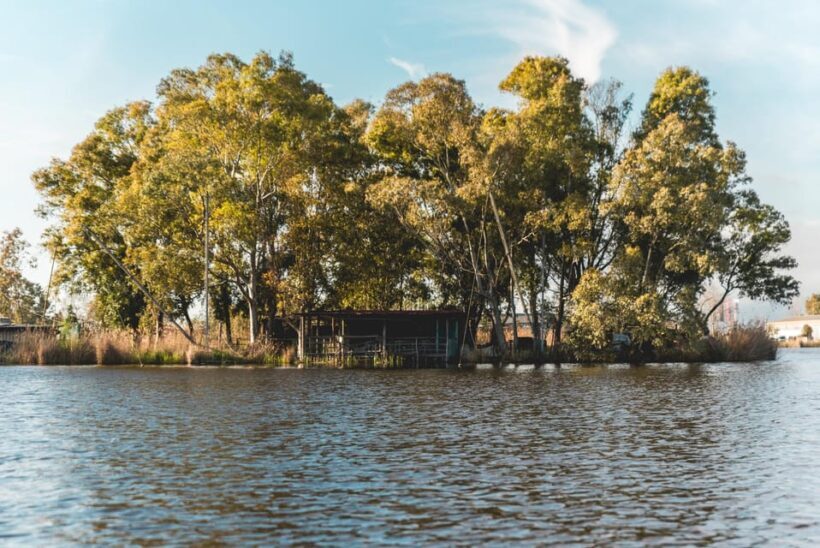 Viareggio: Marshes Electric Boat Tour with Wine Tasting - In-Depth Look at the Experience