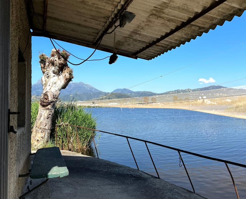Viareggio: Natural Reserve Sunset Canoe Tour with Aperitif - The Sum Up
