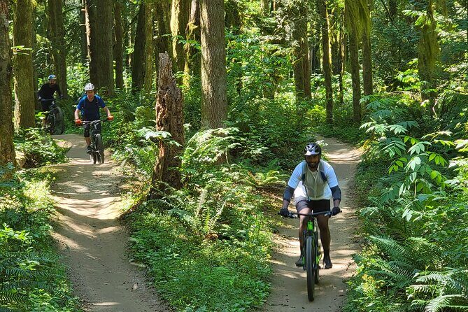 Viator Exclusive - Half Day Mountain Bike Tour from Seattle - The Ride and What to Expect