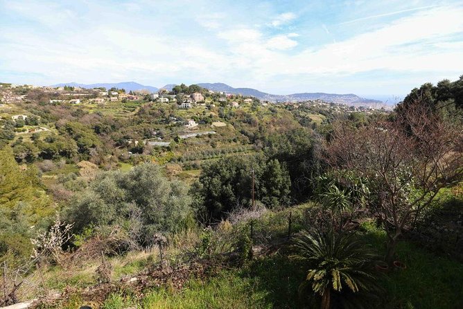 Viator Exclusive: Local Cooking Class & Dinner With View of Nice - Booking Information and Policies