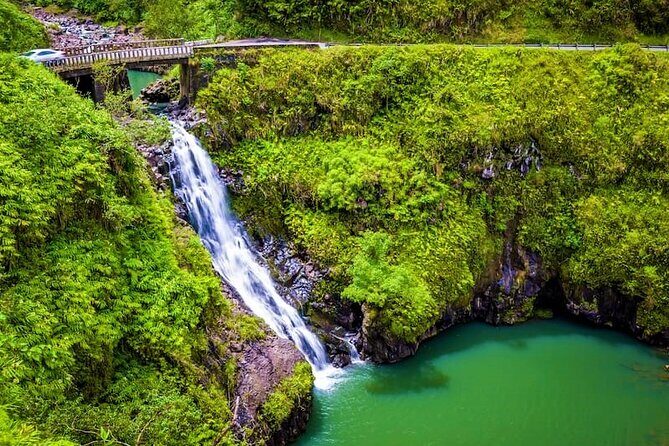 Viator Exclusive: Maui Tropical Rainforest Small Group Tour - Exploring Maui’s North Shore: A Detailed Look
