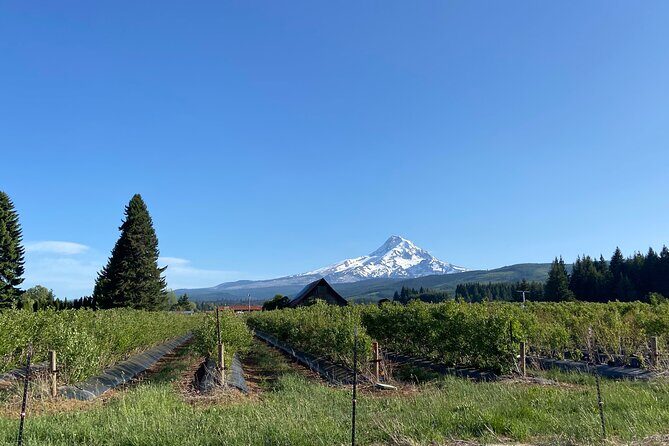 Viator Exclusive: Wyeast Adventure Cycling in Portland - FAQ