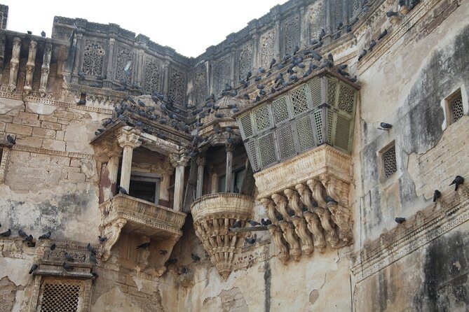 Vibrant Gujarat - Who Should Consider This Tour?