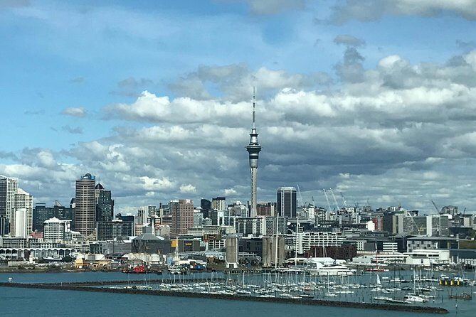 Vibrosaun Therapy Experience - FAQs about Vibrosaun Therapy in Auckland