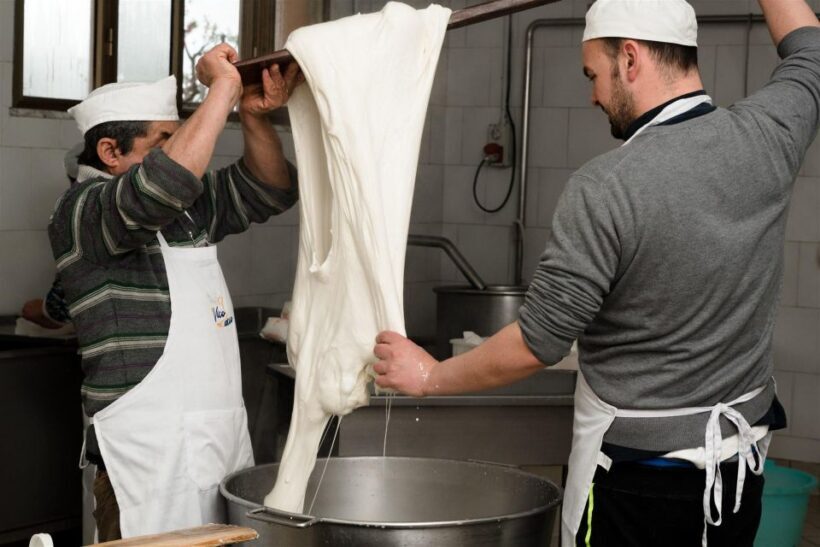 Vico Equense: Tour in the dairy "Mozzarella Experience" - An In-Depth Look at the Mozzarella Experience in Vico Equense