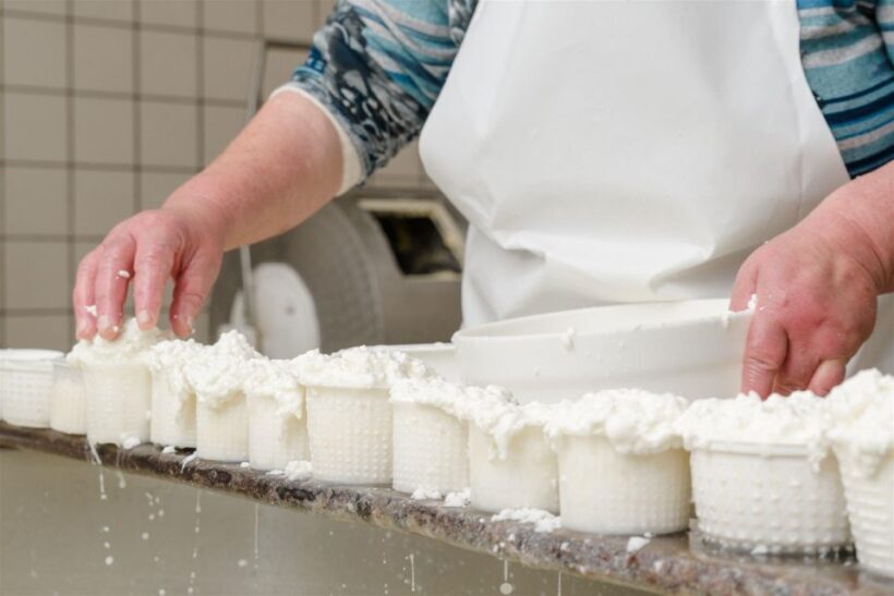 Vico Equense: Tour in the dairy "Mozzarella Experience" - What Travelers Say About This Experience