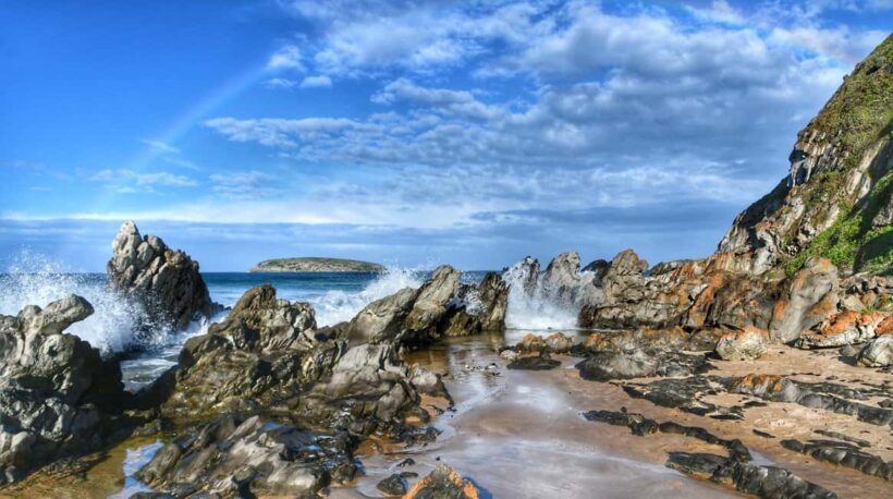 Victor Harbor and Fleurieu Peninsula Tour - A Complete Breakdown of the Tour Experience