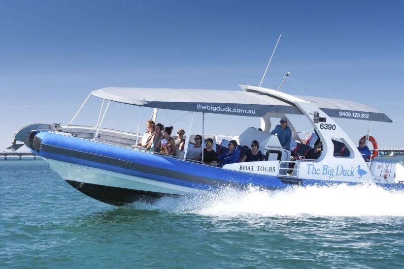 Victor Harbor: Seal Island Cruise - Key Points