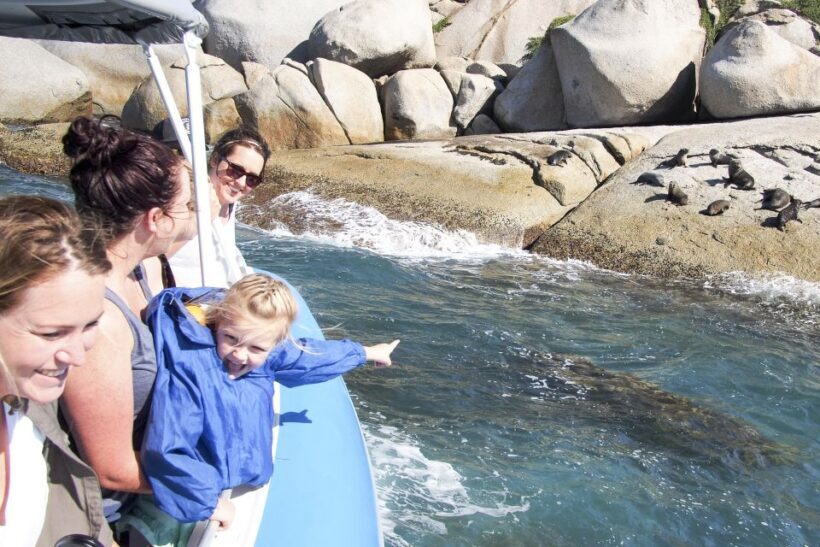 Victor Harbor: Seal Island Cruise - The Sum Up
