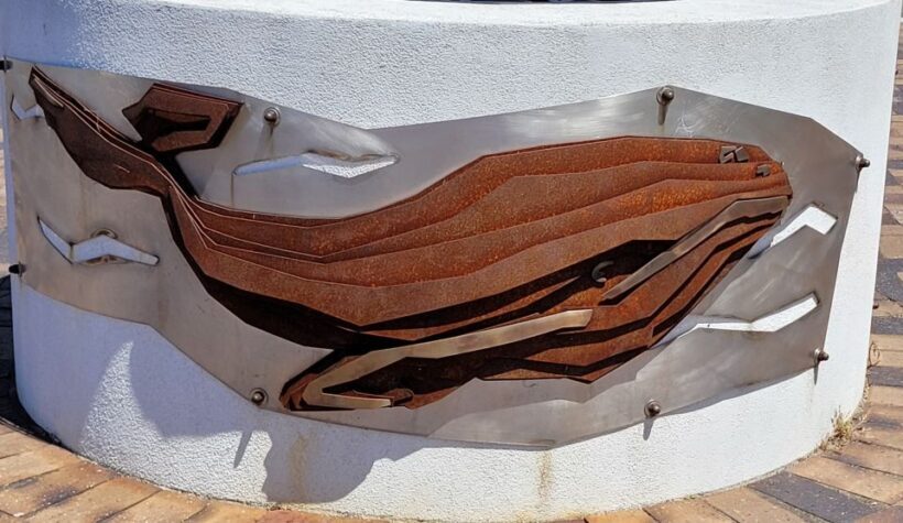 Victor Harbor: Shipwrecks & Settlers Walking Tour - Key Points