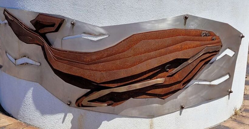 Victor Harbor: Shipwrecks & Settlers Walking Tour - The Value of the Experience
