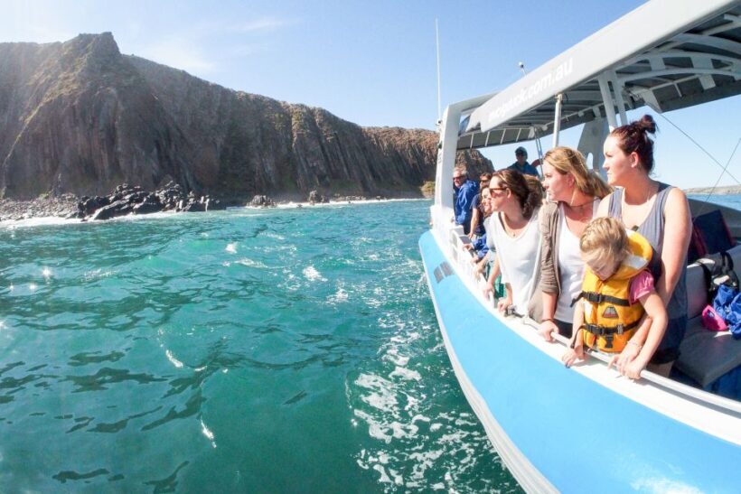 Victor Harbor: Southern Ocean Adventure Cruise with Guide - What to Expect on the Tour
