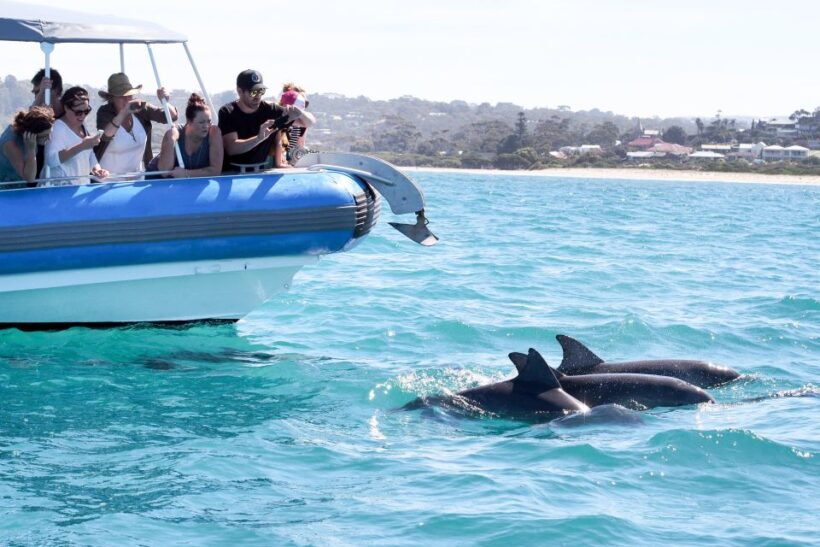Victor Harbor: Southern Ocean Adventure Cruise with Guide - Final Thoughts