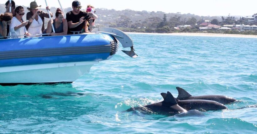 Victor Harbor: Southern Ocean Adventure Cruise with Guide - FAQ